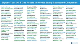 EnergyNet Oil & Gas Divestment Platform | PPT