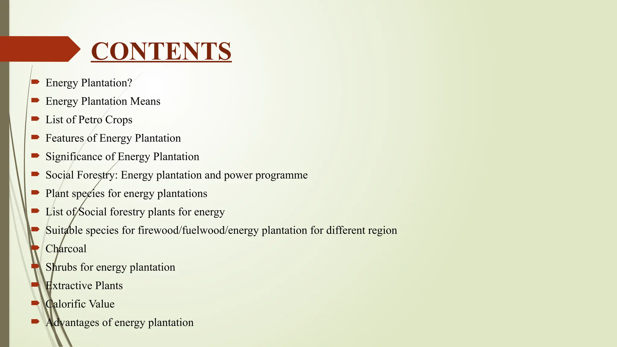 Energy Plantation for Agroforestry .pptx