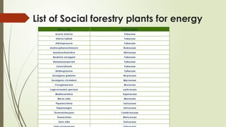 Energy Plantation for Agroforestry .pptx