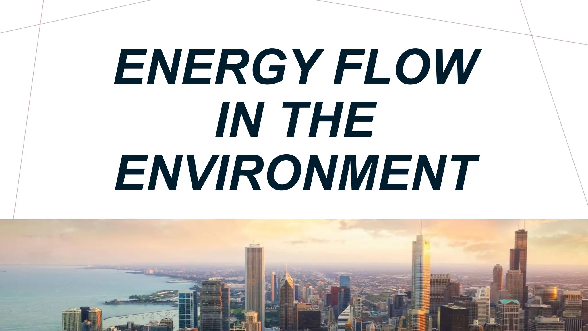 ENERGY PRINCIPLES - used by living things | PPTX