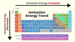 ENERGY PRINCIPLES - used by living things | PPTX