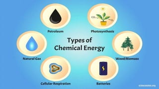 ENERGY PRINCIPLES - used by living things | PPTX