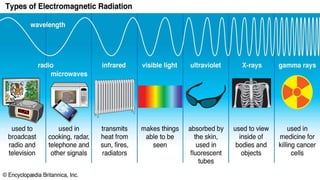 ENERGY PRINCIPLES - used by living things | PPTX