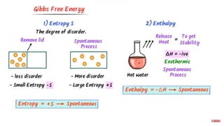 ENERGY PRINCIPLES - used by living things | PPTX