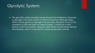 ENERGY PRODUCTION FROM ANAEROBIC AND AEROBICS SYSTEMS.pptx