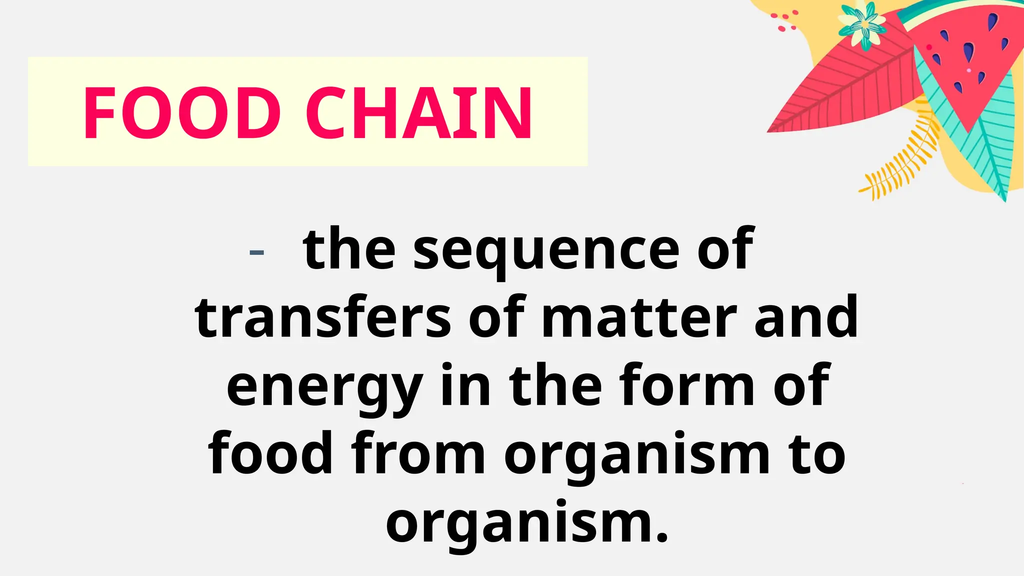 Food Chain and Food Web with energy pyramid concepts | PPTX