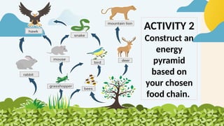 Food Chain and Food Web with energy pyramid concepts | PPTX