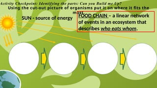 Food Chain and Food Web with energy pyramid concepts | PPT