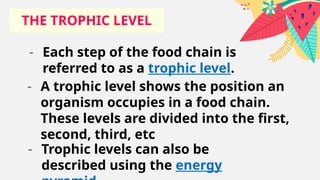 Food Chain and Food Web with energy pyramid concepts | PPTX