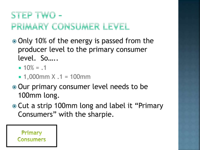 Energy Pyramid Activity | PPT