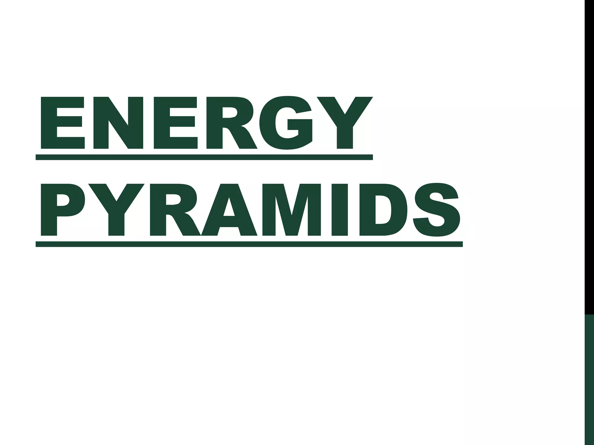Energy pyramid lesson | PPT