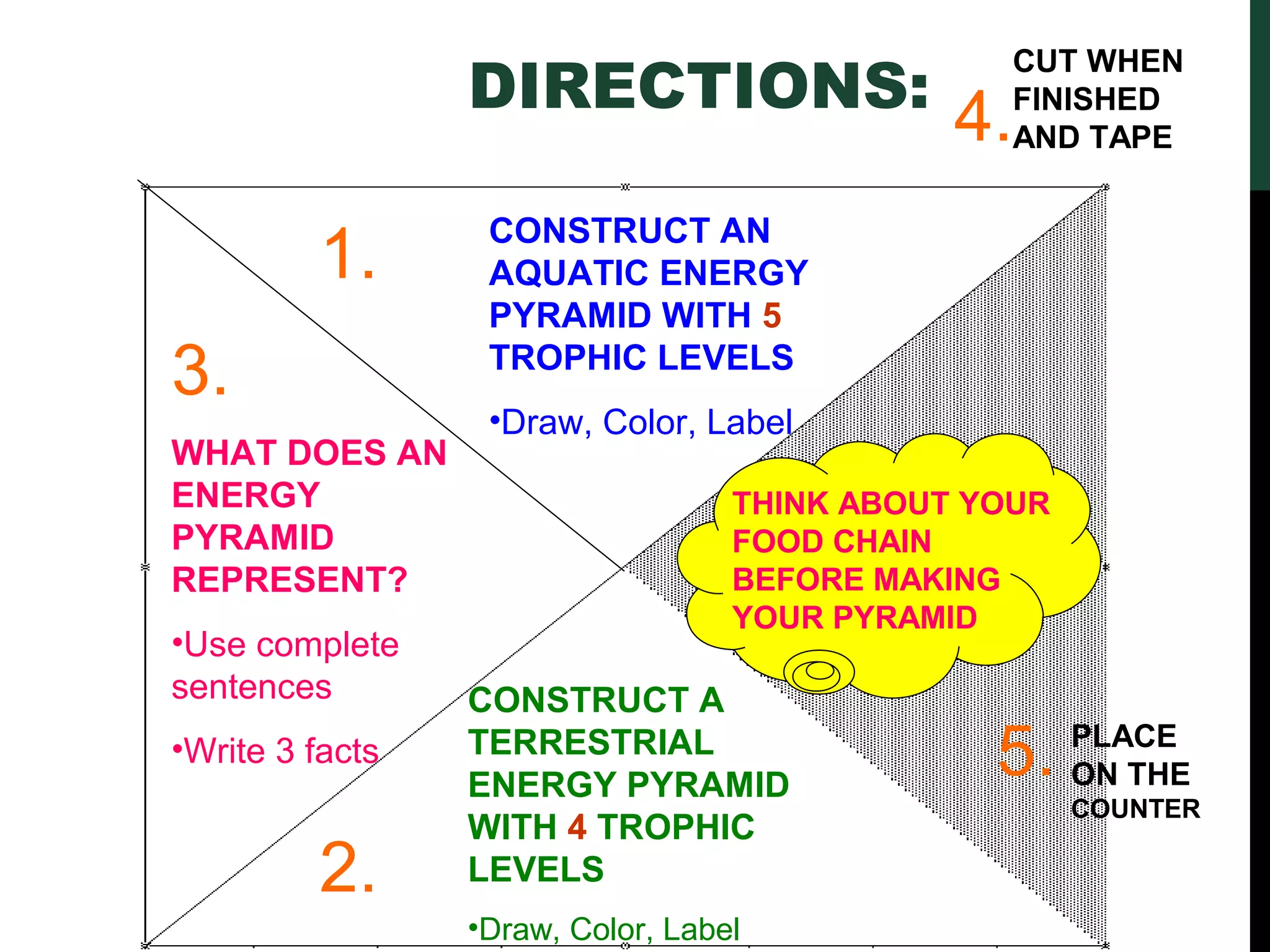 Energy pyramid lesson | PPT