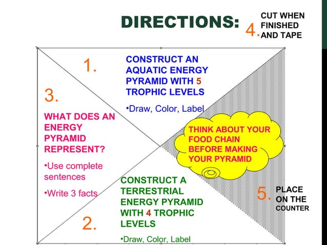 Energy pyramid lesson | PPT