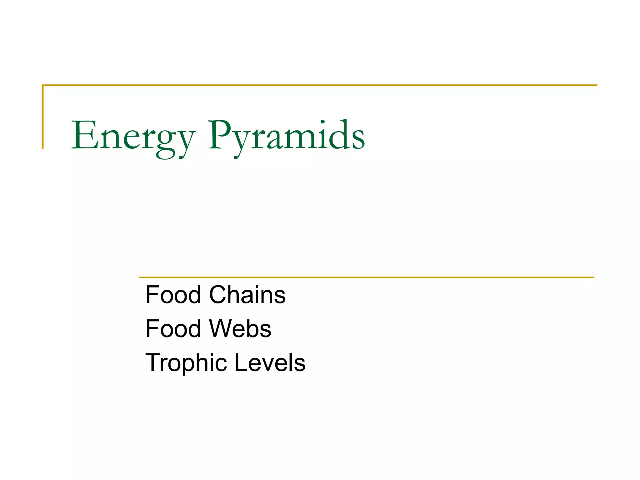 Energy Pyramids | PPT