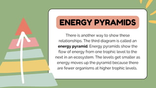 Energy Pyramids Educational Presentation in Organic Lined Style.pdf