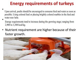 Energy requirments of poultry by Dr sunil kumar B | PPTX