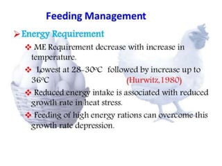 Energy requirments of poultry by Dr sunil kumar B | PPTX