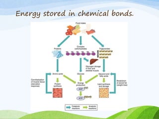 Energy resources and basis | PPT