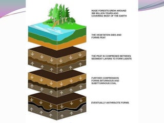 Energy resources unit powerpoint | PPTX