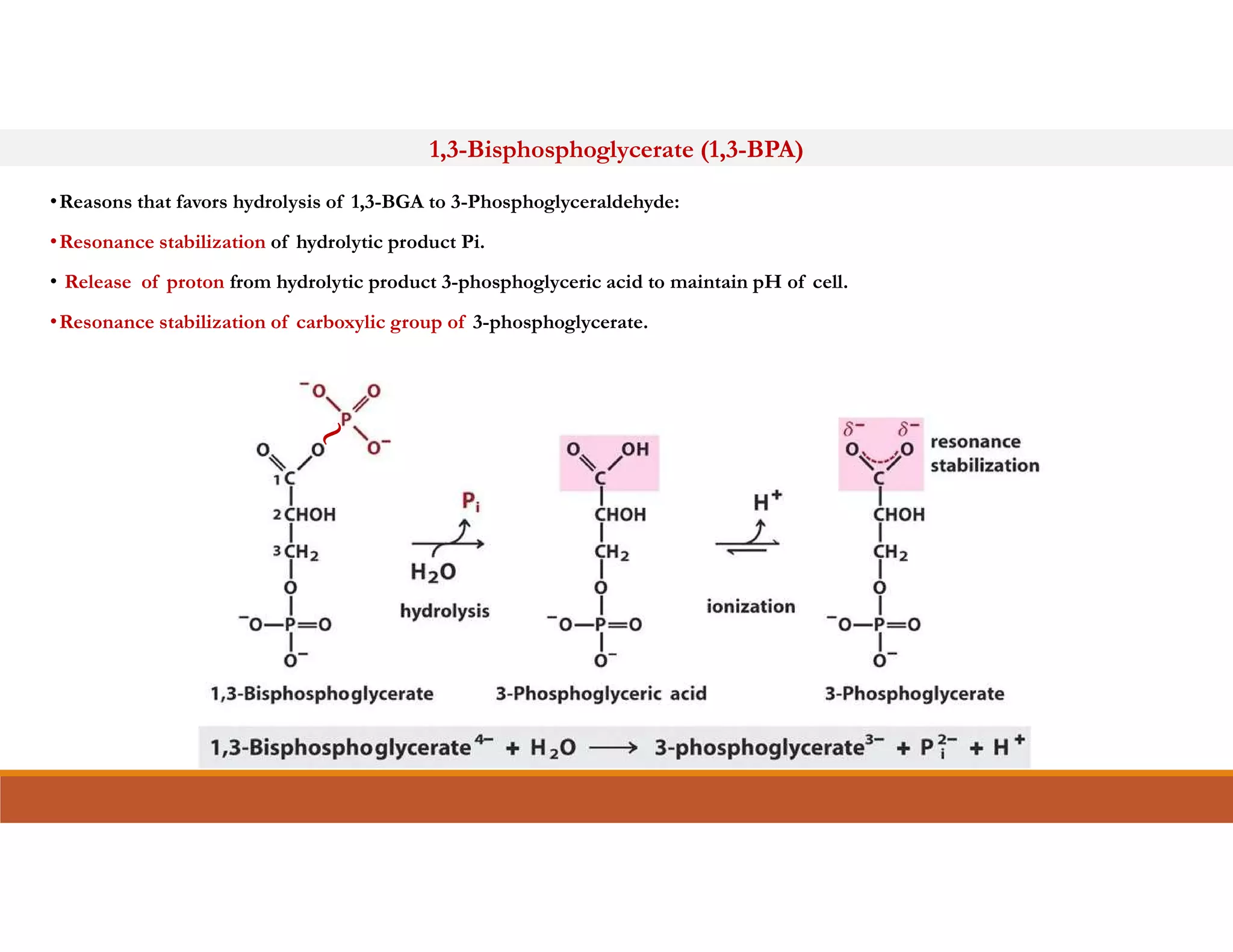 Energy rich compounds.pdf