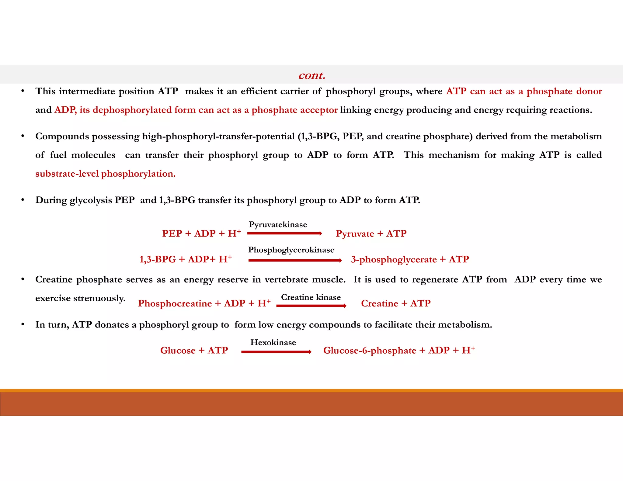 Energy rich compounds.pdf