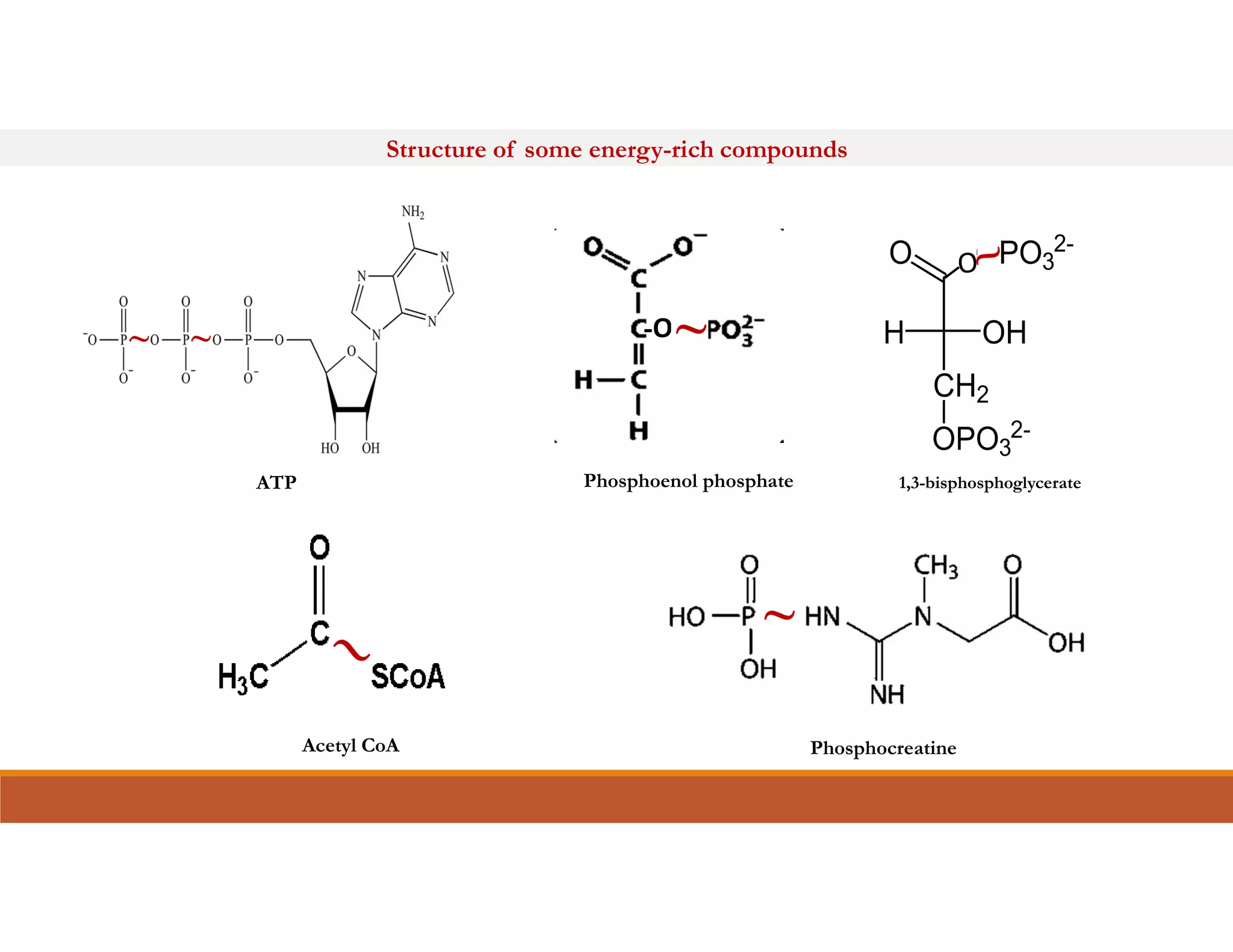 Energy rich compounds.pdf