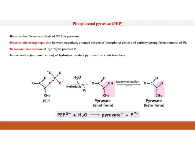 Energy rich compounds.pdf