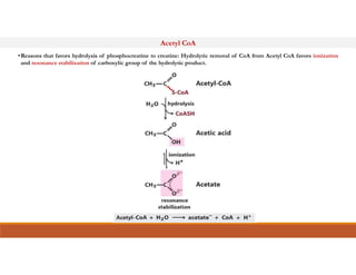 Energy rich compounds.pdf