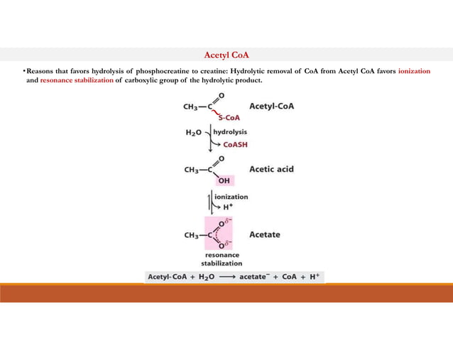Energy rich compounds.pdf