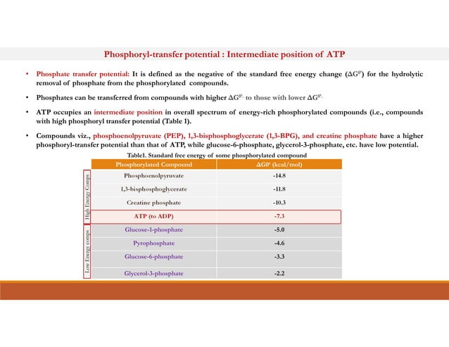 Energy rich compounds.pdf