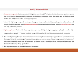 Energy rich compounds.pdf