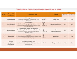 Energy rich compounds.pdf