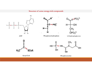 Energy rich compounds.pdf