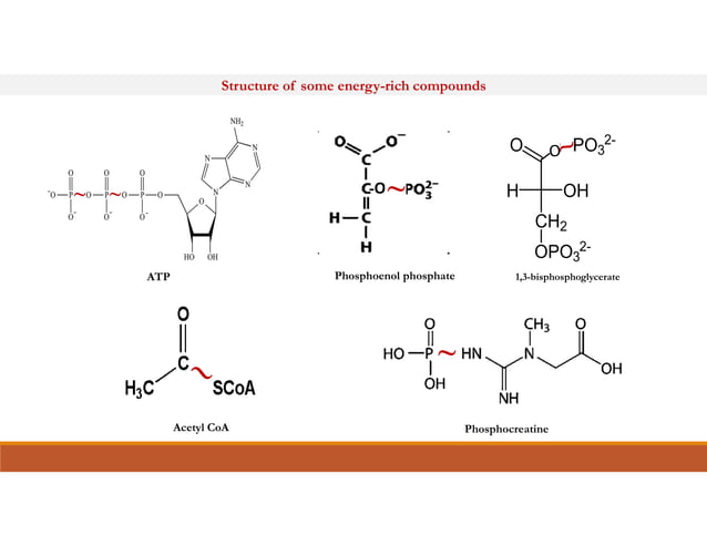 Energy rich compounds.pdf