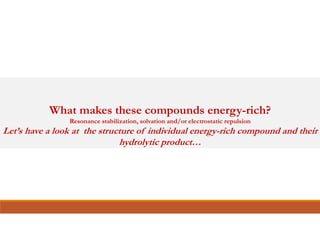 Energy rich compounds.pdf