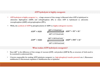 Energy rich compounds.pdf