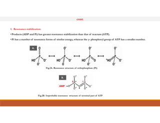 Energy rich compounds.pdf