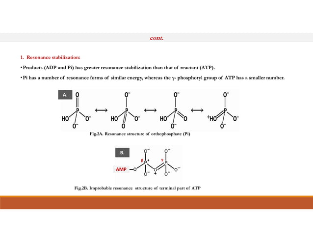 Energy rich compounds.pdf