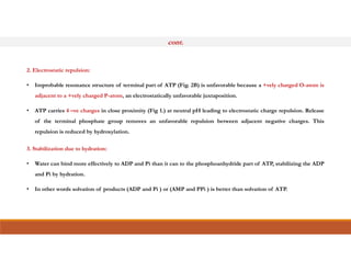 Energy rich compounds.pdf