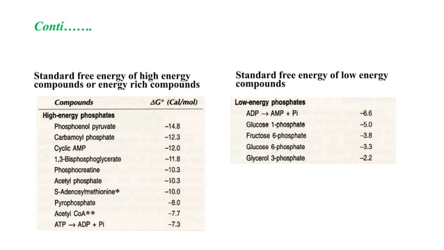 Energy rich compounds.pptx