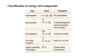 Energy rich compounds.pptx
