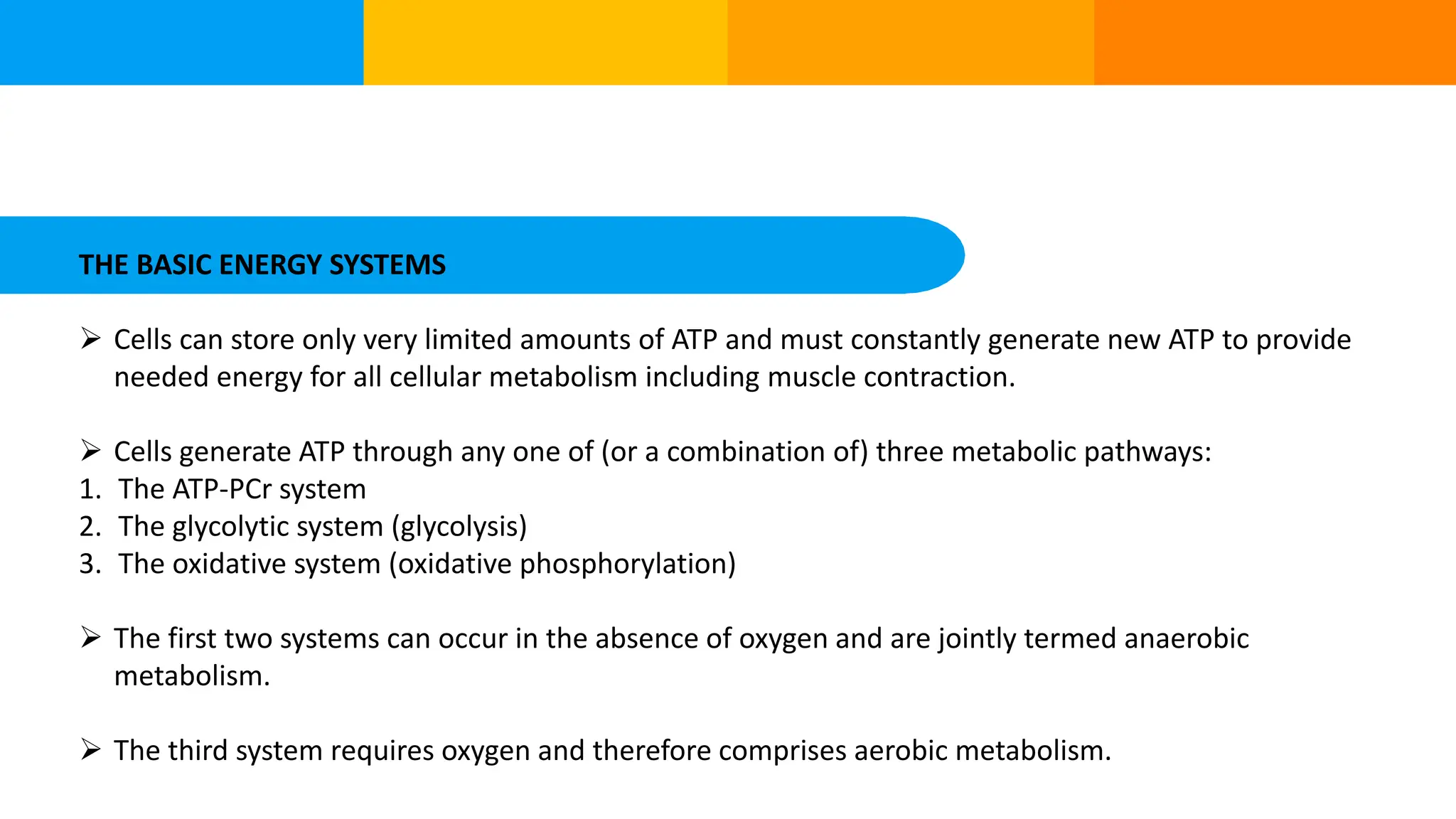 Energy system .ppt,(EXERCISE PHYSIOLOGY) | PPTX