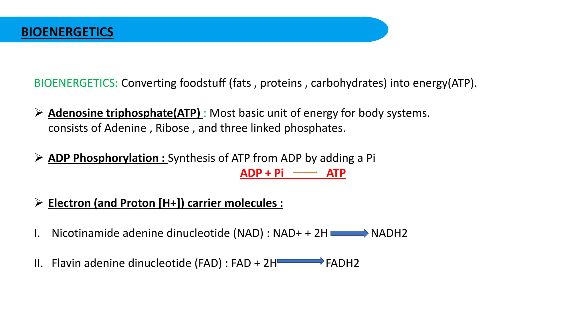 Energy system .ppt,(EXERCISE PHYSIOLOGY) | PPTX