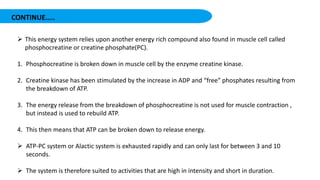 Energy system .ppt,(EXERCISE PHYSIOLOGY) | PPTX