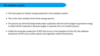 Energy system .ppt,(EXERCISE PHYSIOLOGY) | PPTX