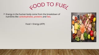 Energy System in Human Body .pptx