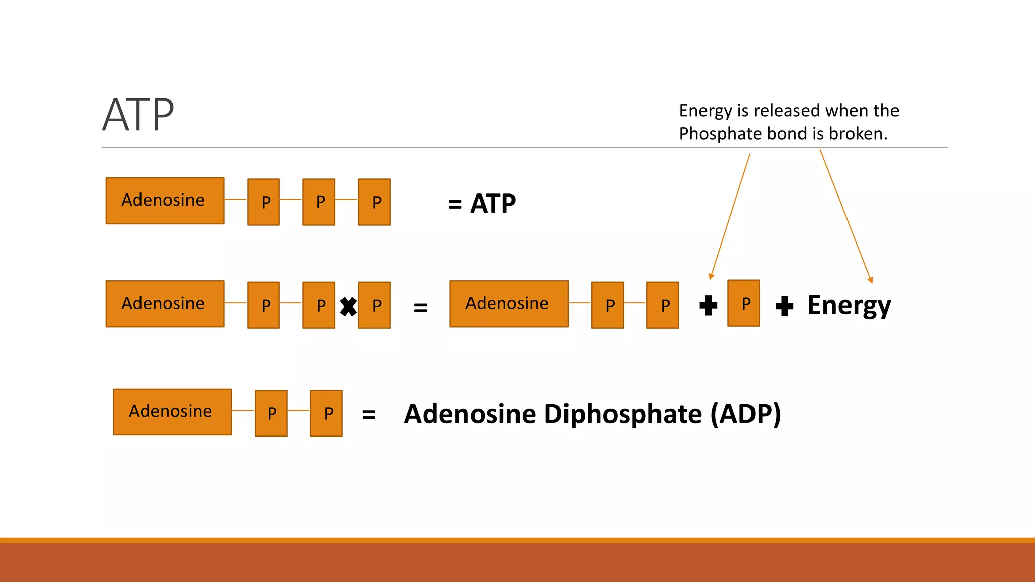 Energy systems | PPTX