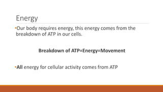 Energy systems | PPTX
