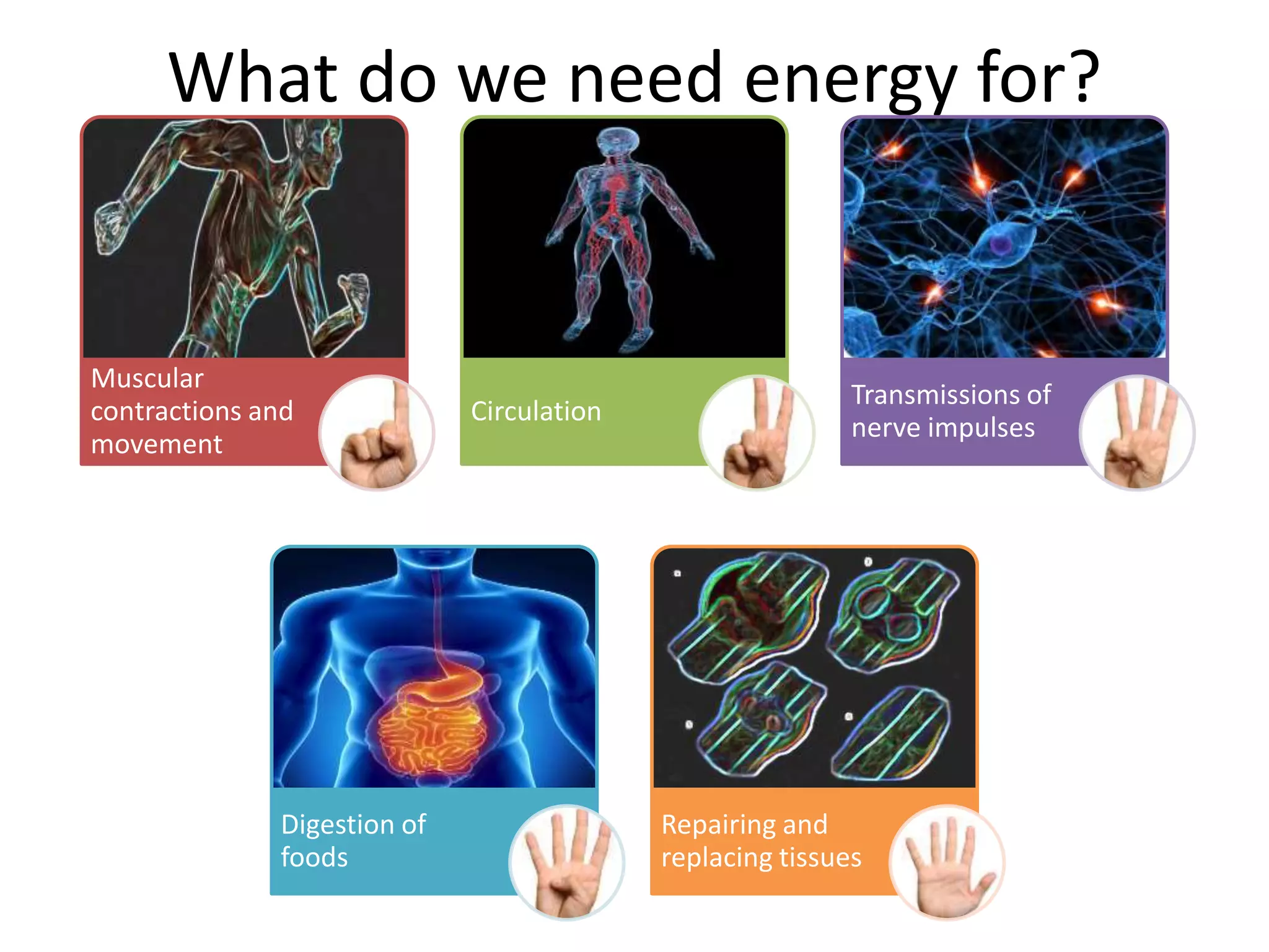 Energy systems | PPTX