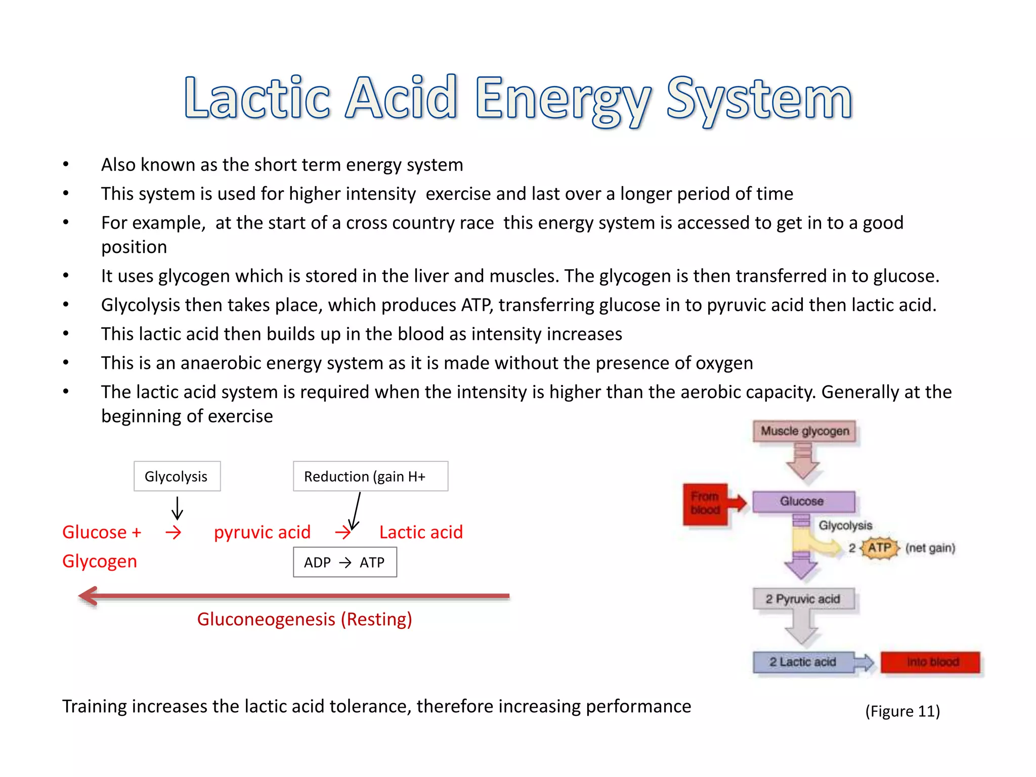 Energy systems | PPTX